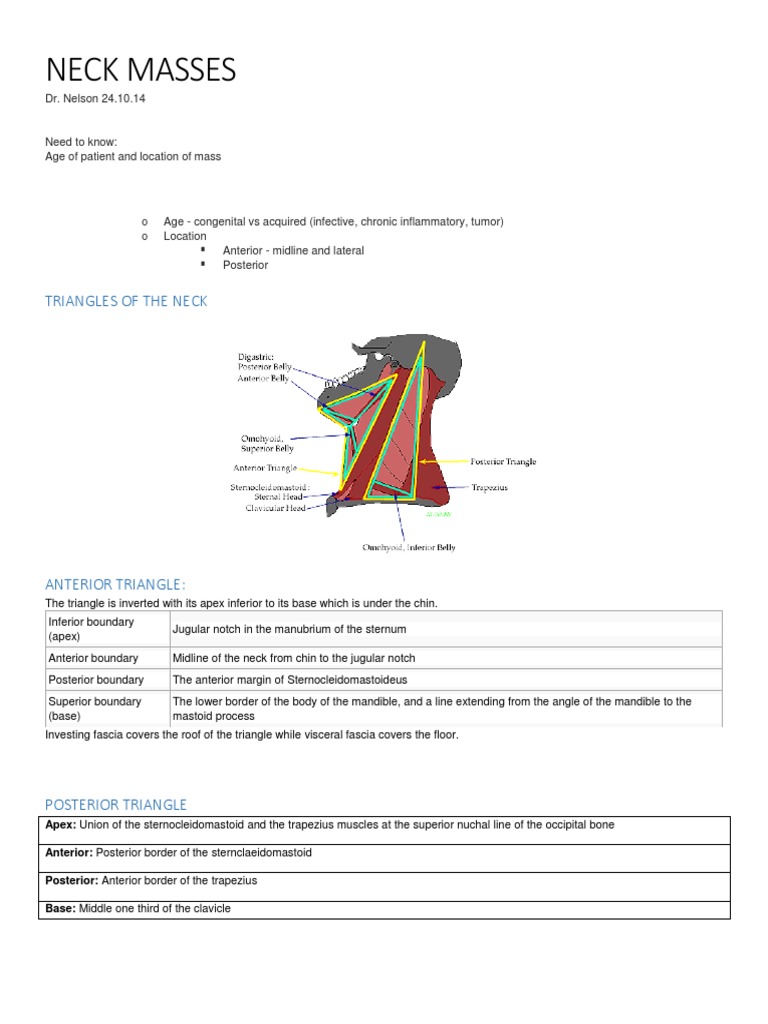 Neck Masses: Triangles of The Neck | Download Free PDF | Neck | Thyroid
