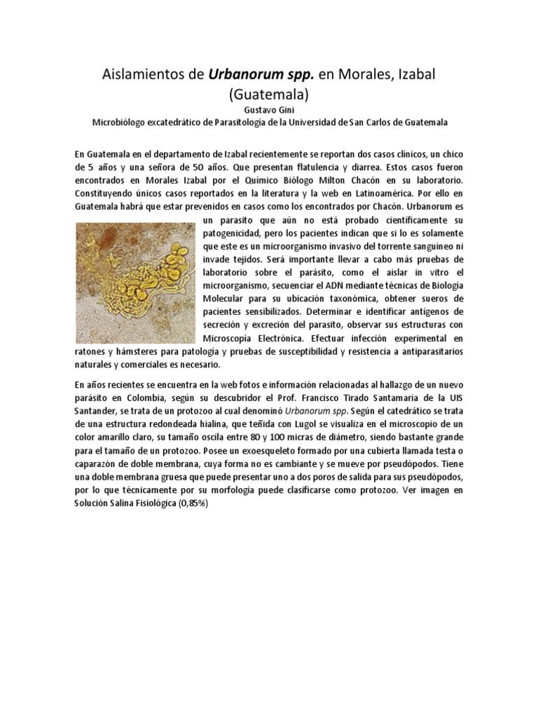 Urbanorum SPP | PDF | Heces | Microorganismo