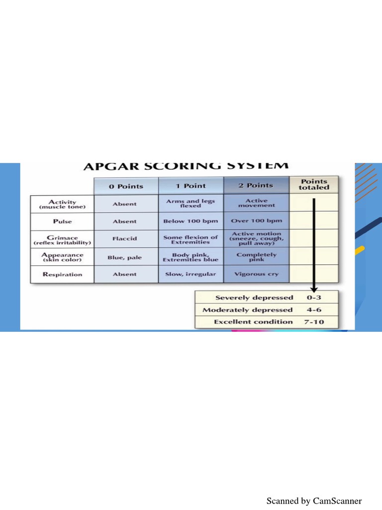 Apgar | PDF