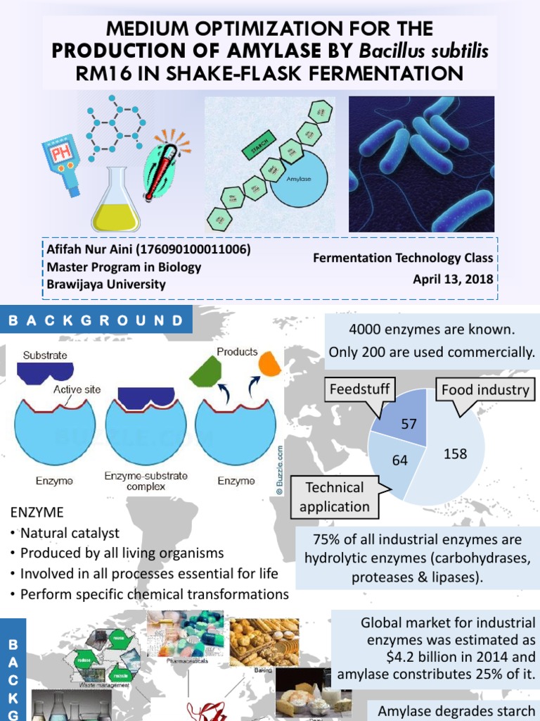 Medium Optimization For The Production of Amylase by Bacillus Subtilis | PDF | Starch | Bacillus