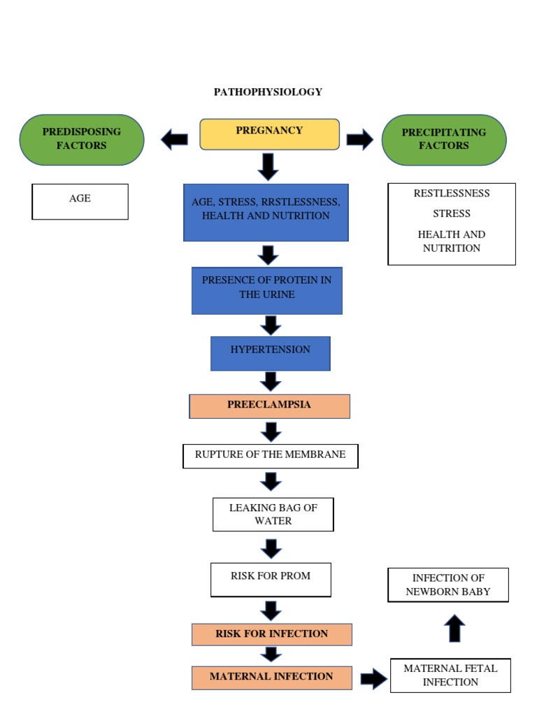 Patho Preeclampsia | PDF