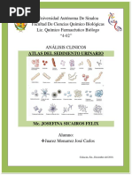 Atlas de Coprológico. Atlas de Coprología. | PDF | Digestión | Leucocito