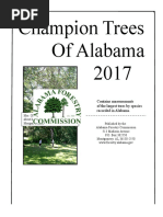 North American Tree Identification Guide | PDF | Flora | Trees