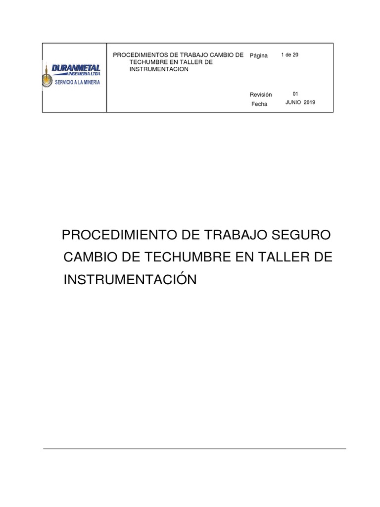 Procedimiento de Cambio de Techumbre - Rev | PDF | Andamio | Cinturón de seguridad