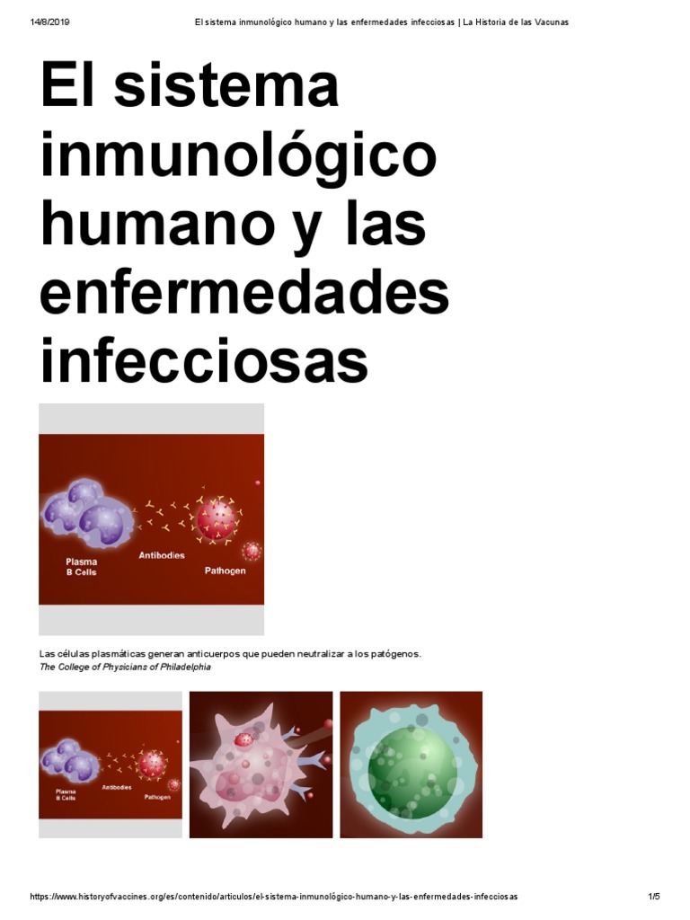 Enfermeades Del Sistema Inmunologico | PDF | Sistema inmune | Célula T