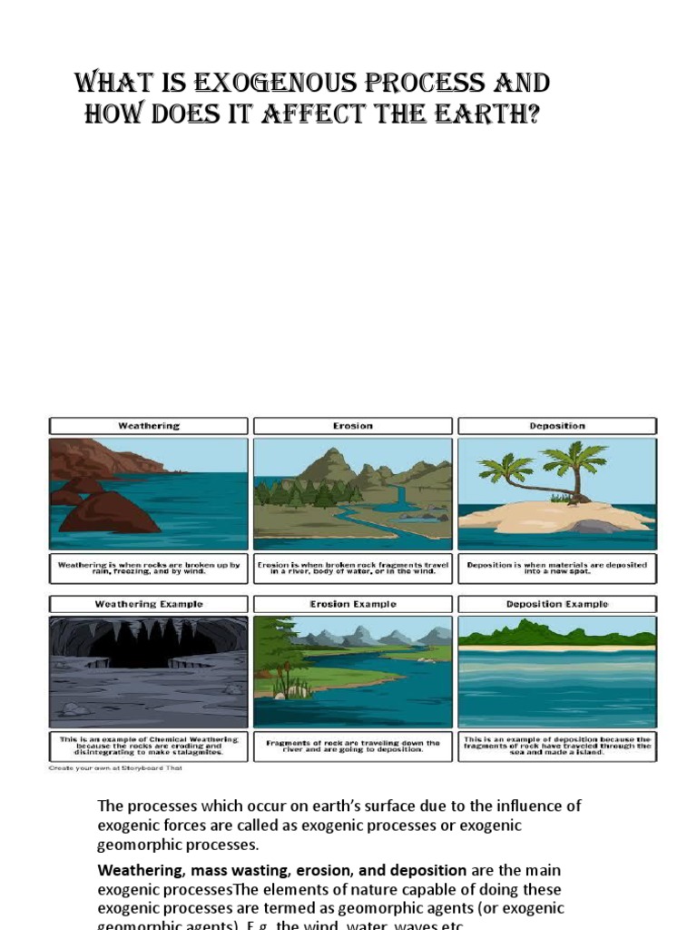 How Exogenic Processes Shape Earth's Surface | PDF | Weathering | Soil