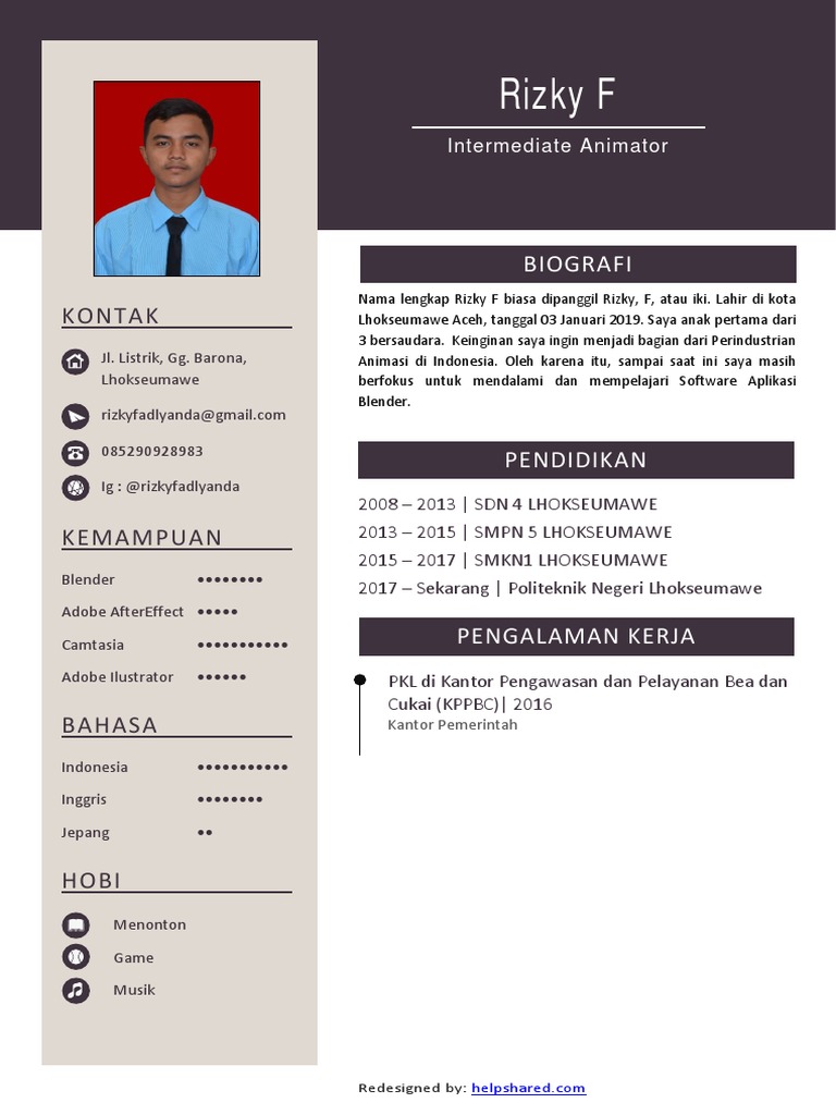 Rizky CV | PDF