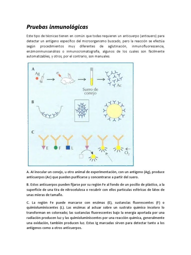 Pruebas Inmunológicas: EIA y Más | PDF | Inmunofluorescencia | Anticuerpo