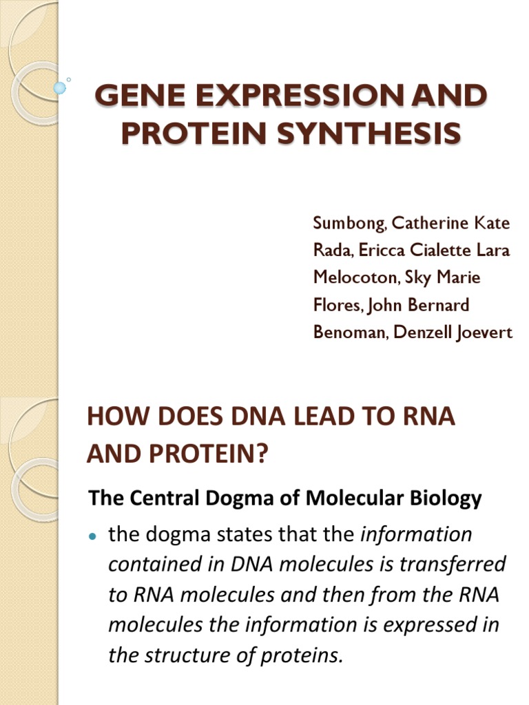 Gene Expression | PDF | Rna | Genetic Code