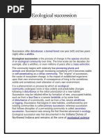 Vegetation Sampling | PDF | Sampling (Statistics) | Ecology