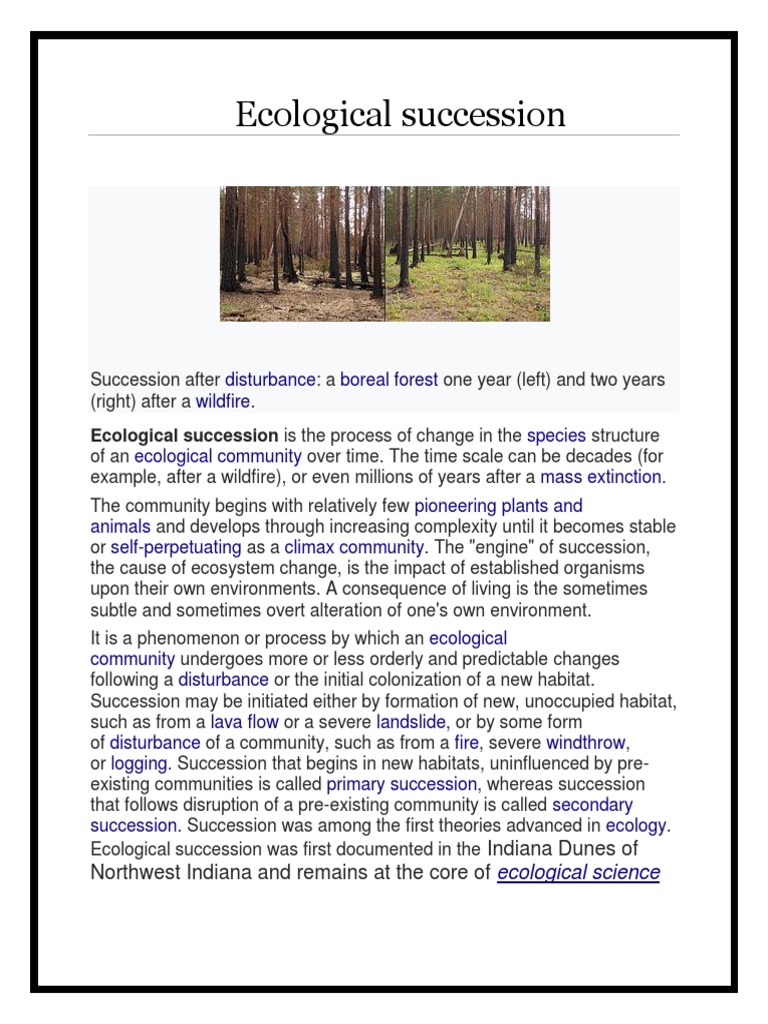 Ecological Succession | PDF | Systems Ecology | Ecology