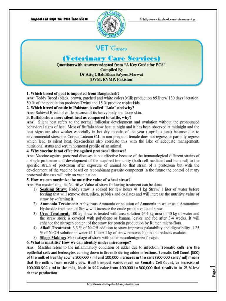Veterinary Question and Answers | PDF | Glucocorticoid | Urination