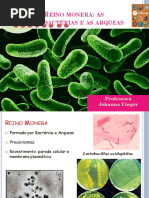 Ciclo Do Tetano | PDF