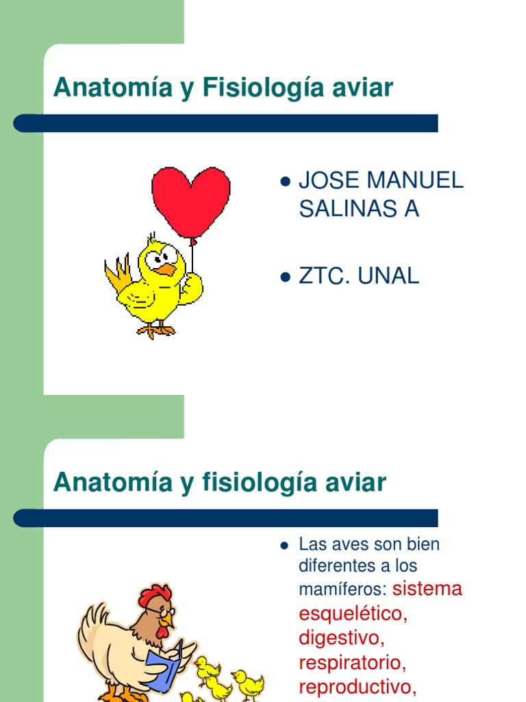 Anatomía y fisiología aviar: Una exploración de los sistemas corporales únicos de las aves | PDF ...