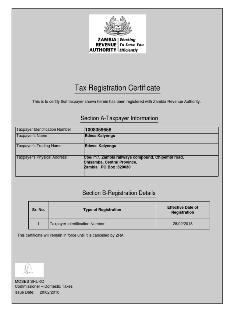 TPIN Registration Certificate | PDF | Taxation | United States Economic ...