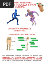 Tablas RULA | PDF | Factores humanos y ergonomía | Science