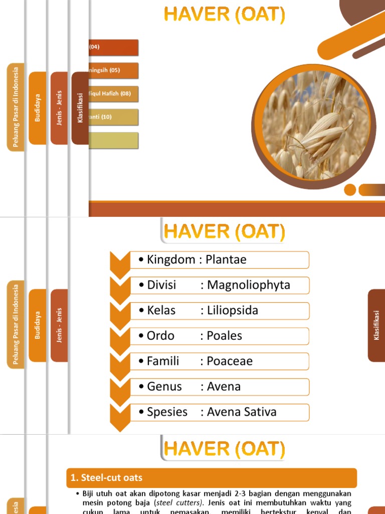 Haver (Oat) | PDF
