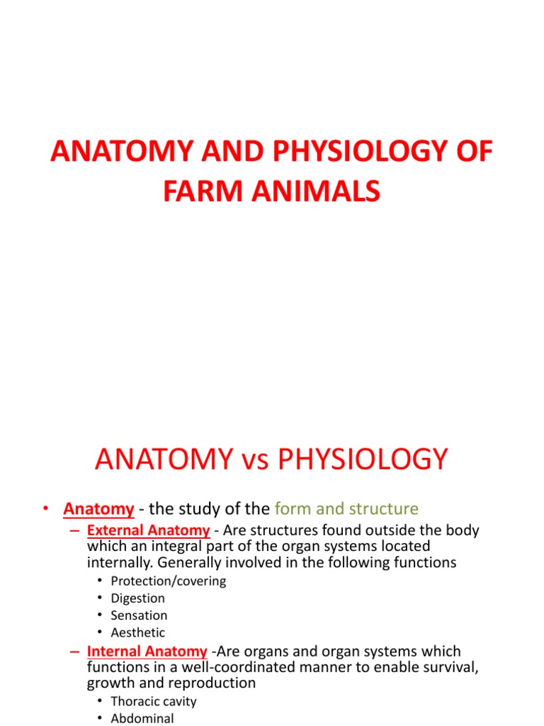 ANATOMY AND PHYSIOLOGY OF FARM ANIMALS | PDF | Heart Valve | Digestion