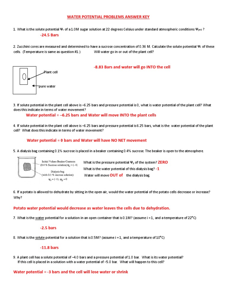 Water Potential Worksheet Key | PDF | Sucrose | Water