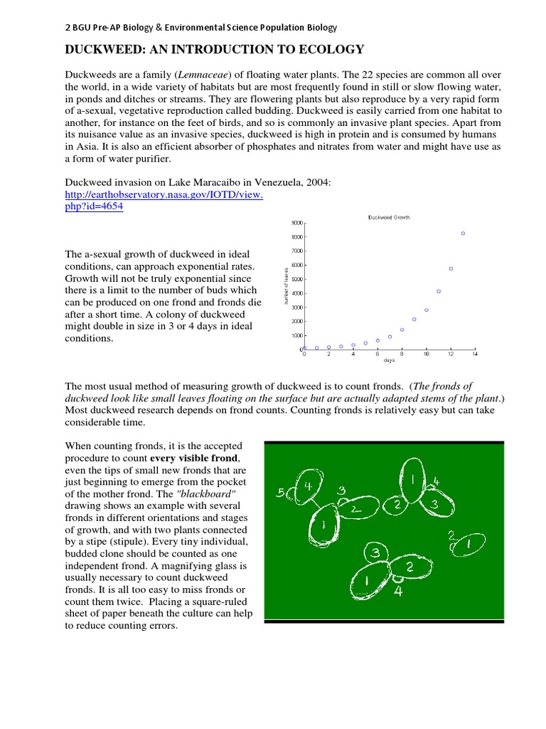 Duckweed Lab | PDF | Organisms | Natural Environment