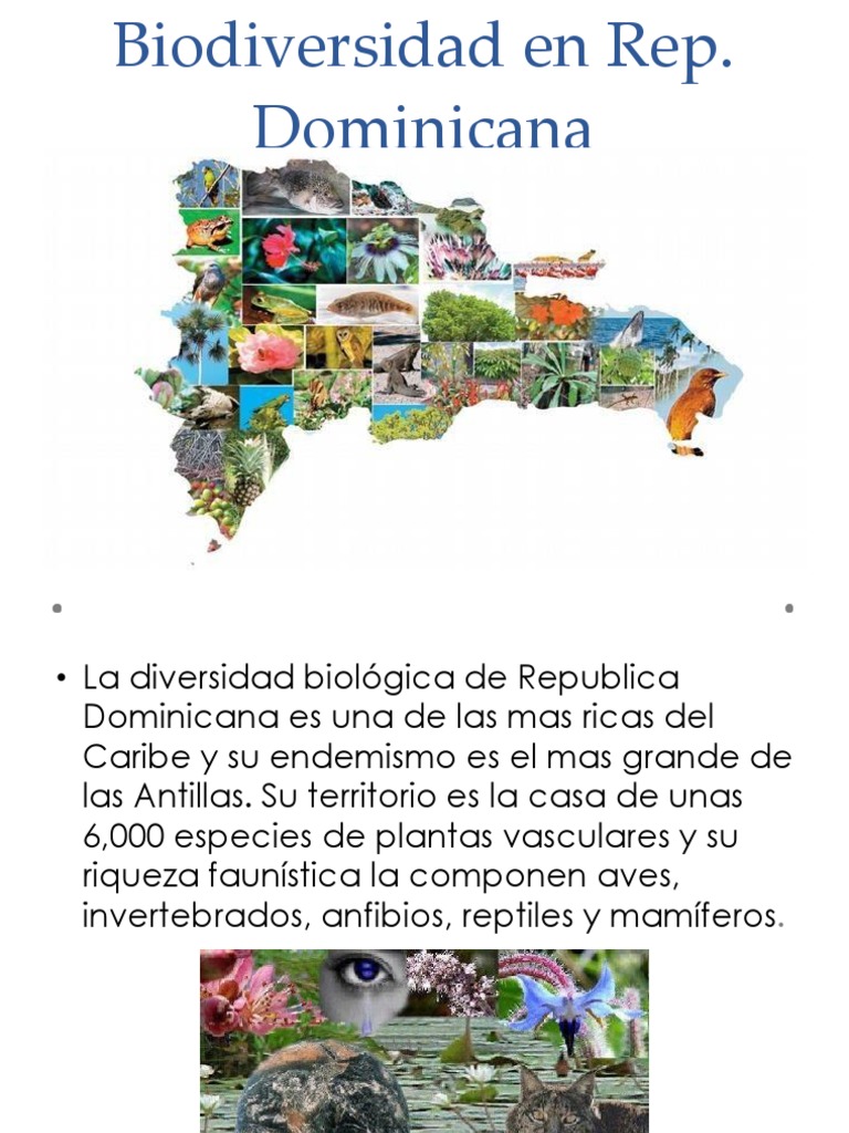 La rica biodiversidad de República Dominicana: Sus símbolos naturales y ...