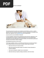 Arco de Riolano PDF | PDF | Intestino grueso | Bazo