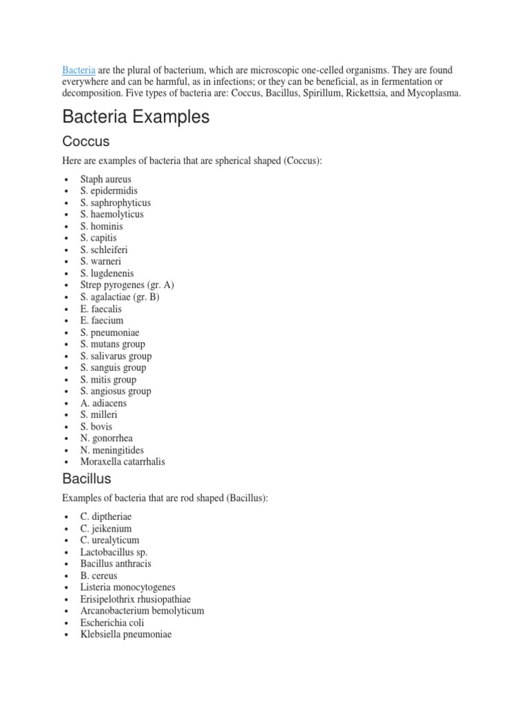 A Comprehensive Guide to Bacteria Types, Examples, Uses in Fermentation ...