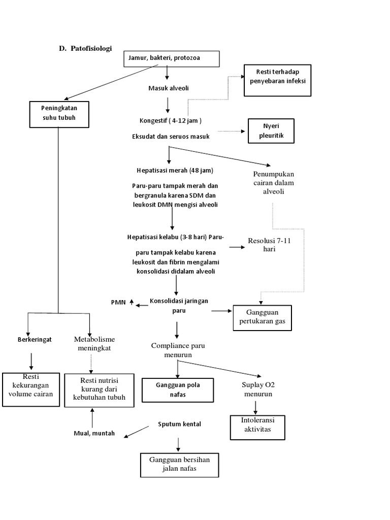 Pathway Pneumonia | PDF