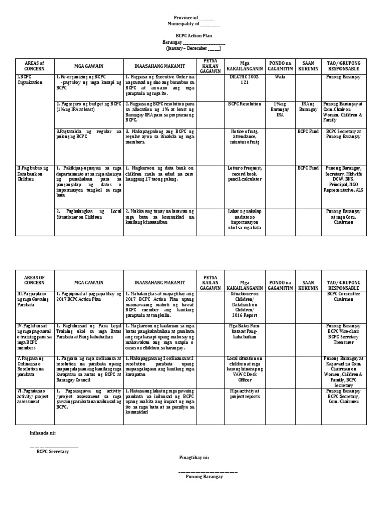 BCPC Action Plan | PDF