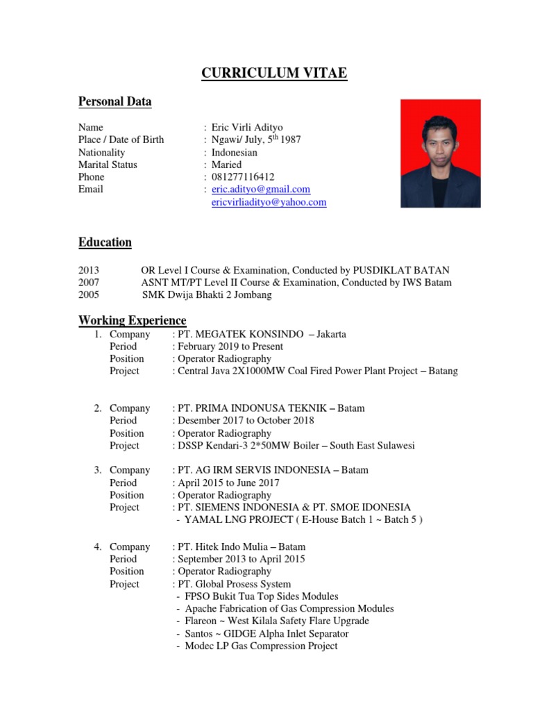 Eric CV | PDF | Fossil Fuels | Gases