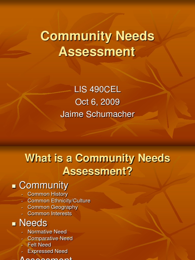 Community Needs Assessment Presentation | PDF | Old Age | Data