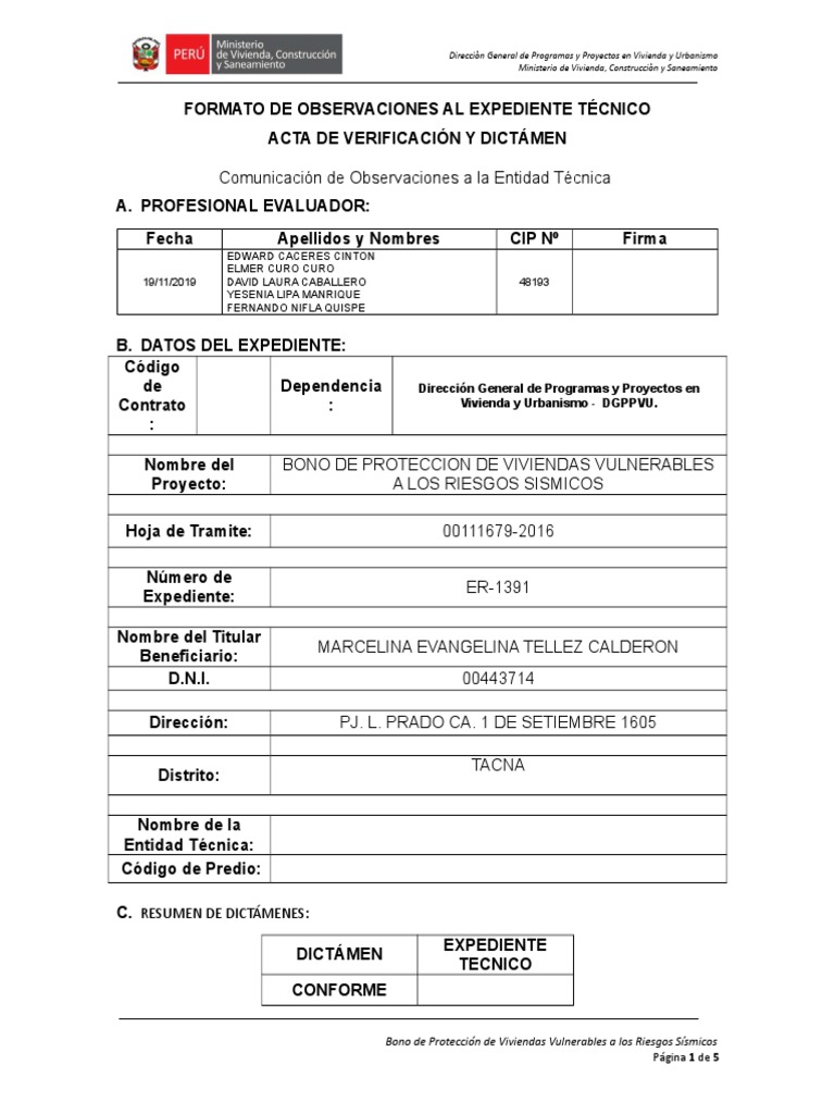 Formato de Observaciones Al Expediente T | PDF