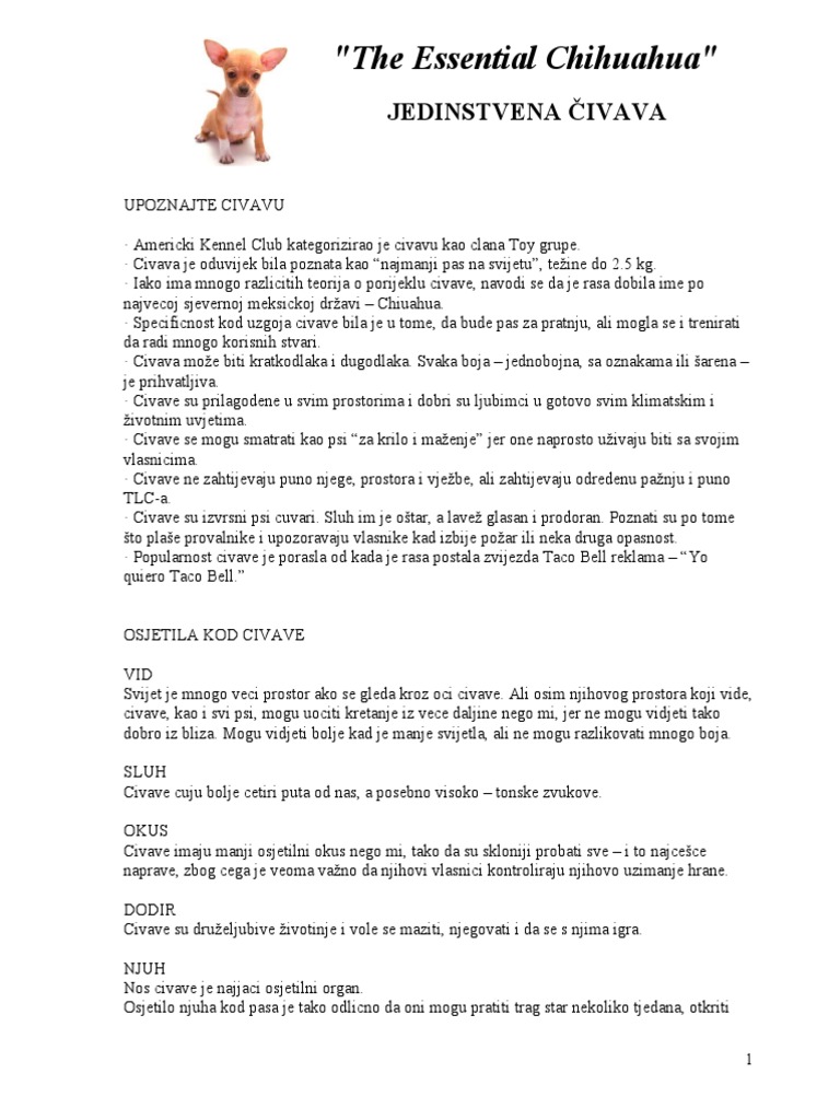 Civava | PDF
