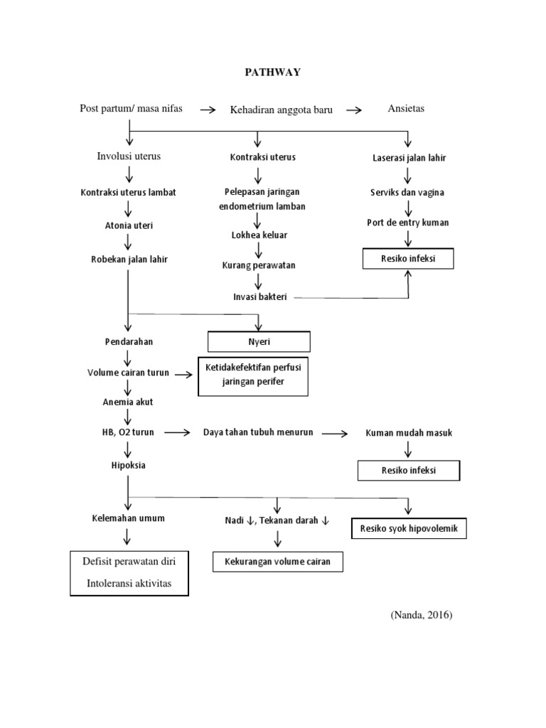 Pathway Post Partum Kelompok 5 | PDF