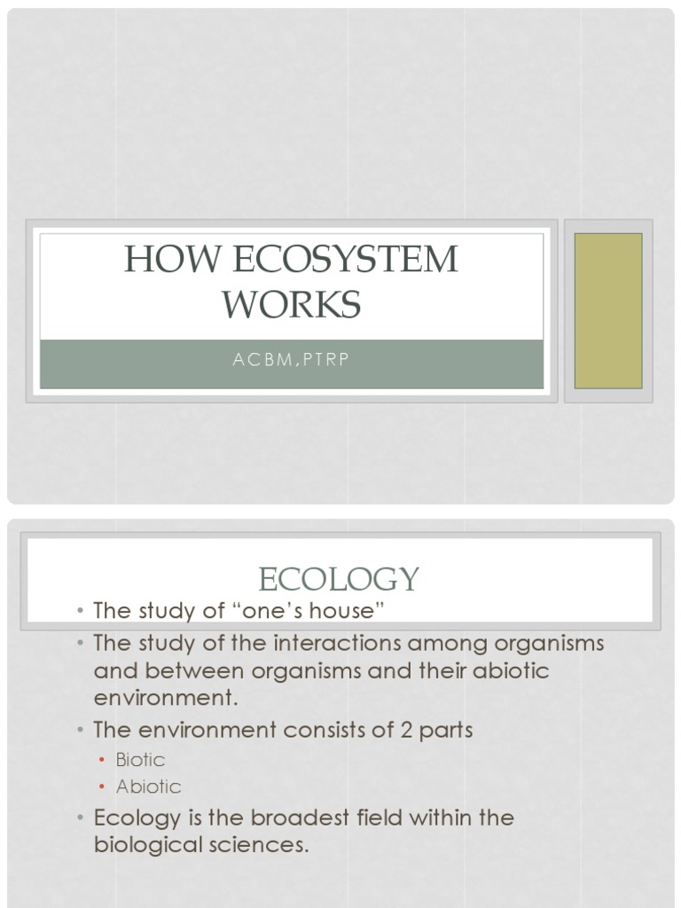 How Ecosystem Works | PDF | Food Web | Ecology