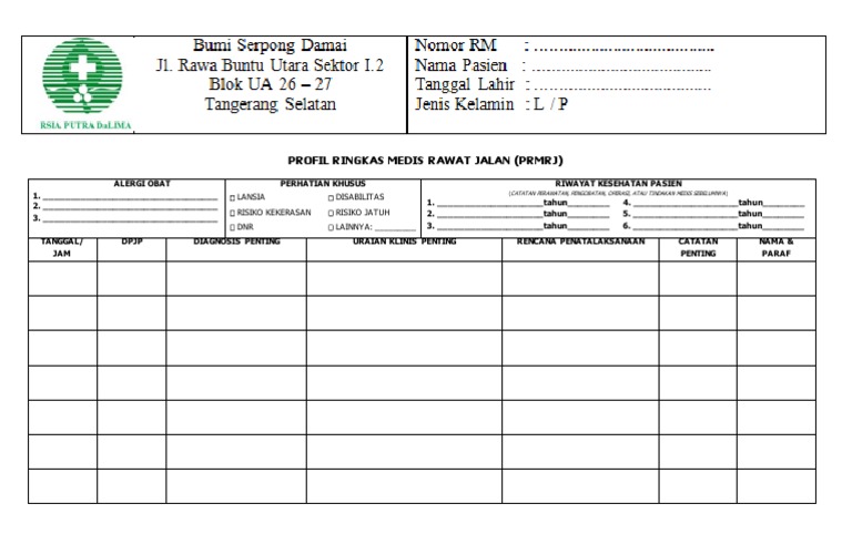 Profil Ringkas Medis Rawat Jalan | PDF