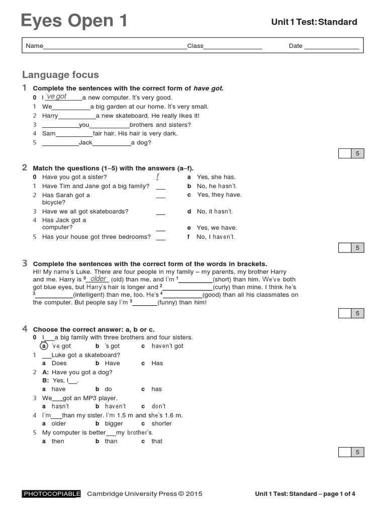 Unit 1 - Standard Test, Customisable | PDF