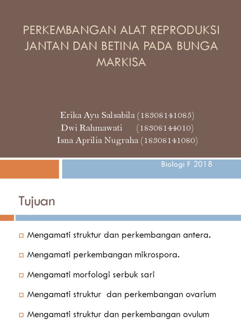 Kegiatan 2 Perkembangan Alat Kelamin Bunga Markisa | PDF