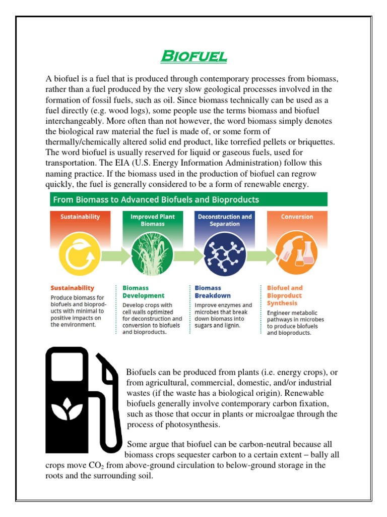 Biofuel Chemistry Project | PDF | Biofuel | Biodiesel