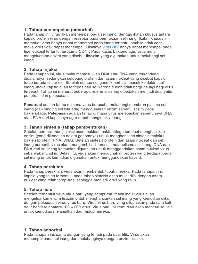 Tahap-Tahap Replikasi Virus Daur Itik Dan Lisogenik | PDF | Sains ...