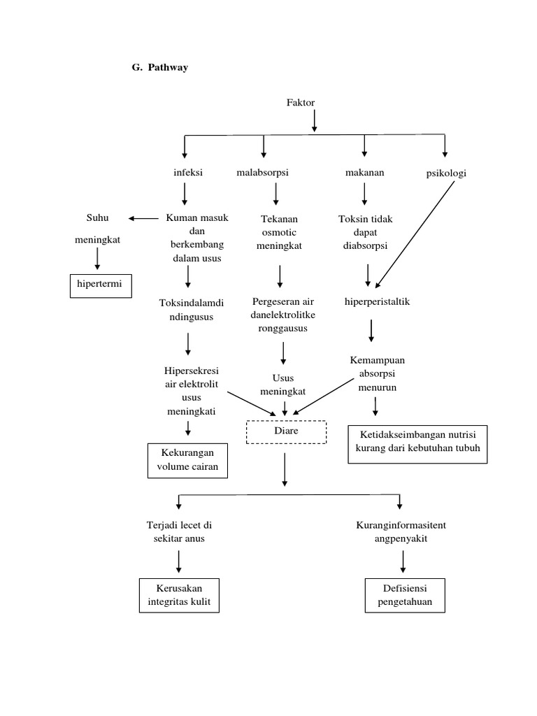 Pathway Diare Puskesmas | PDF