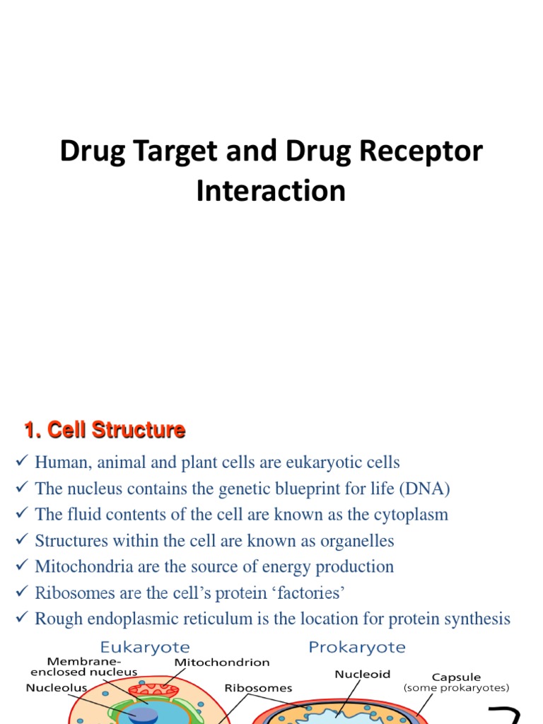 Drug Target and Drug Receptor Interaction | PDF | Intermolecular Force ...
