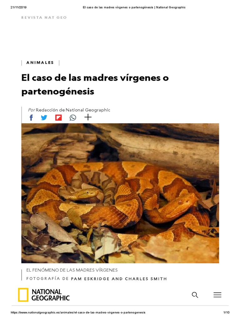 PARTENOGÉNESIS | PDF | Organismos | Reproducción