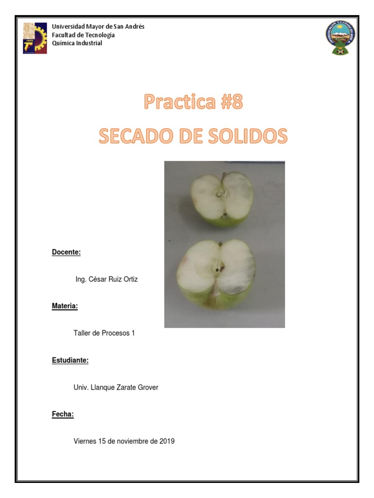 Practica 8 Secado de Solidos | PDF | Humedad | Humedad