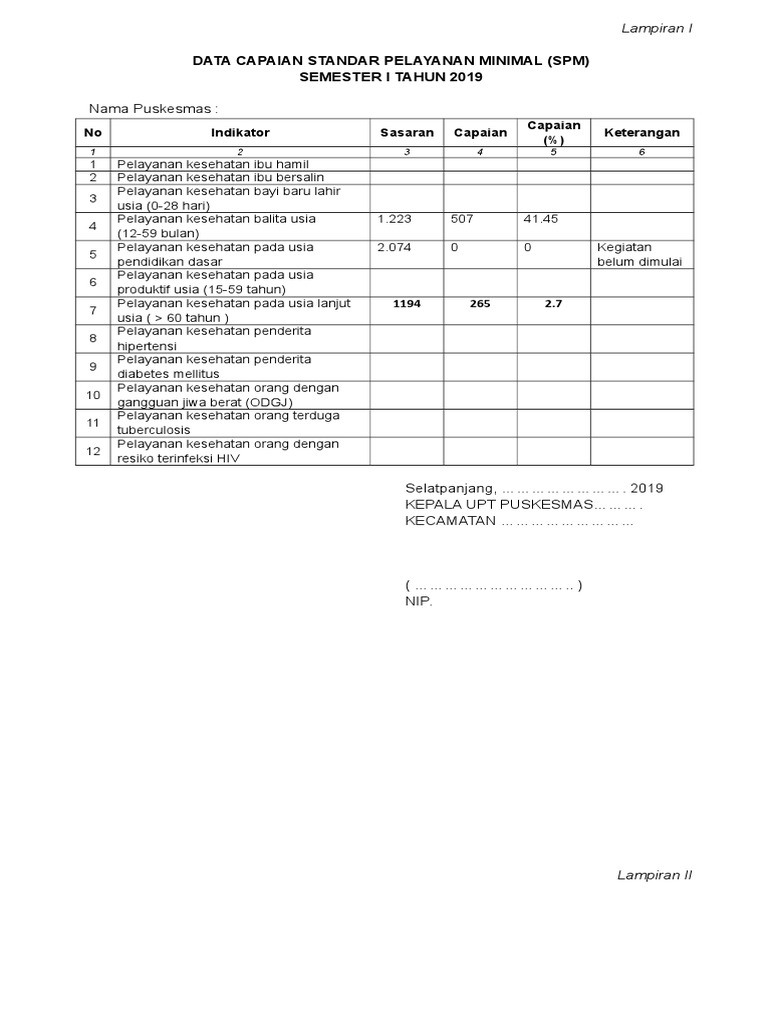 FORMAT Capaian SPM Puskesmas-2 | PDF