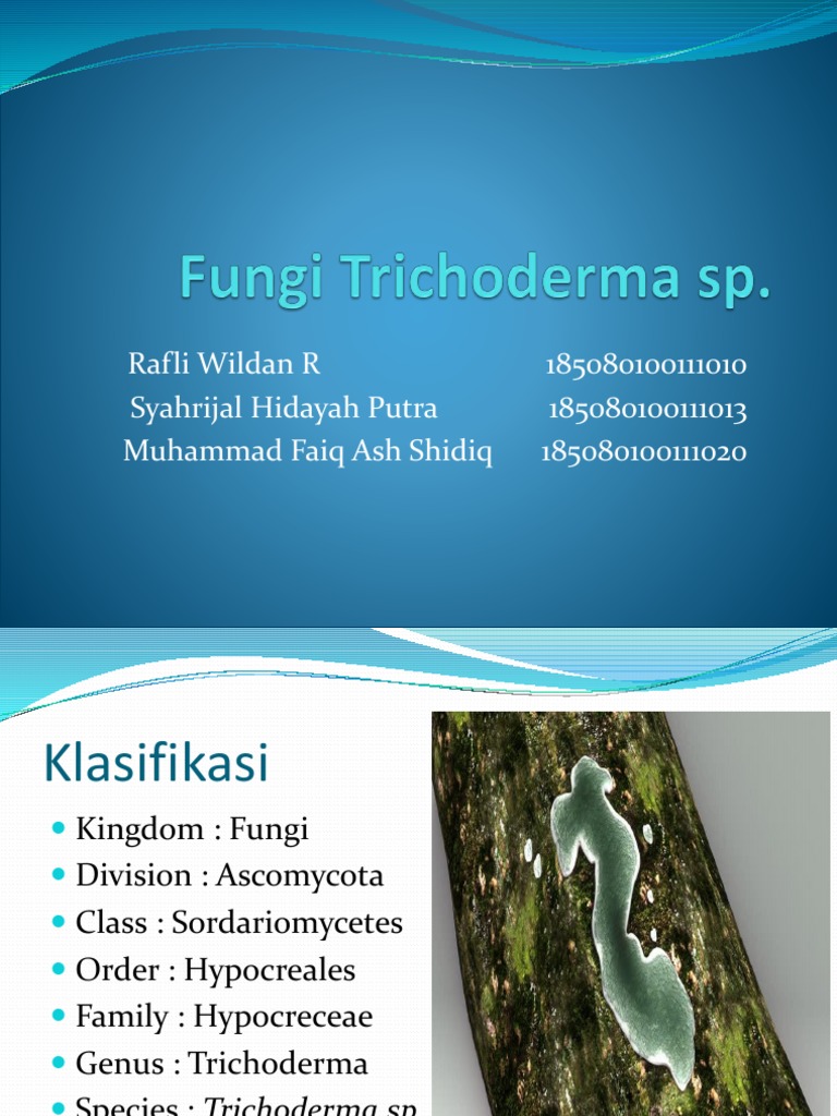 Klasifikasi dan Peran Jamur Trichoderma | PDF