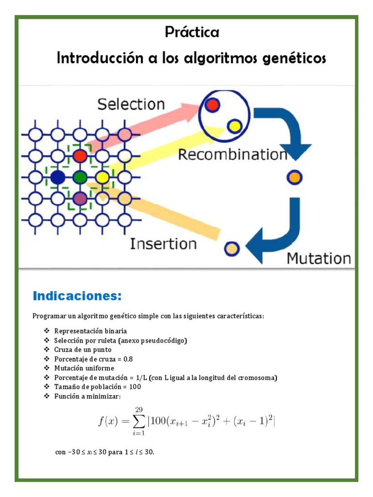 Algoritmos Genéticos: Práctica y Experimentos | PDF | Algoritmo genético | Algoritmos