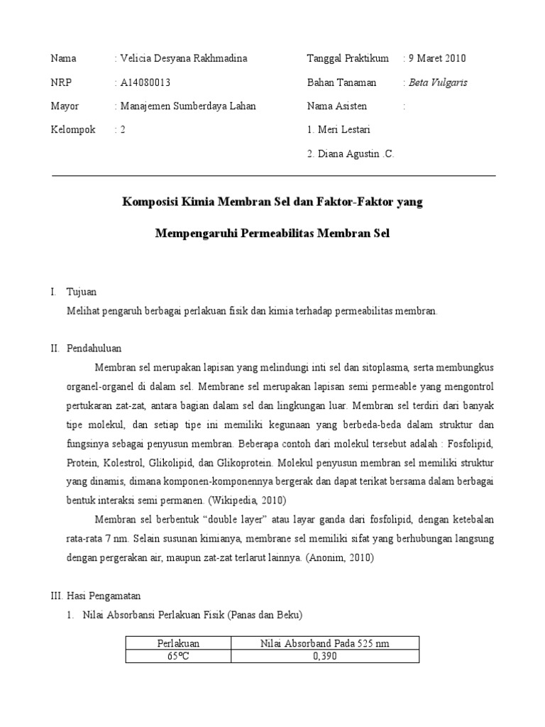 Fistum Laporan 1 | PDF