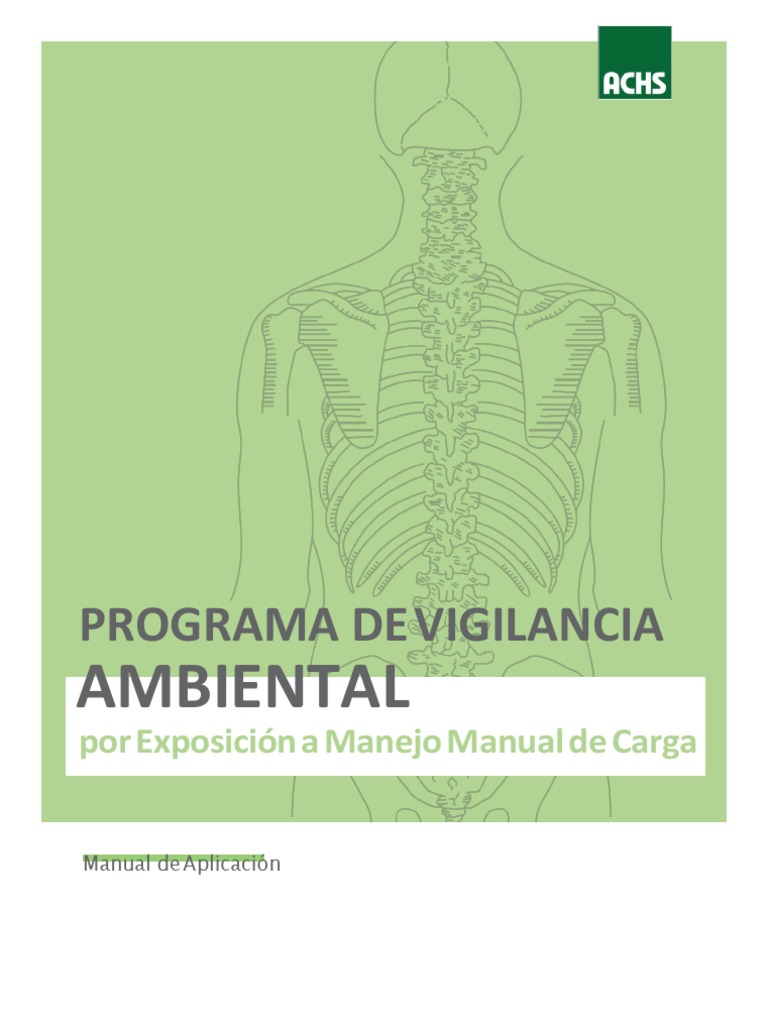 Manual de Implementacion Protocolo Manejo Manual de Carga (MMC) | PDF | Seguridad y salud ...