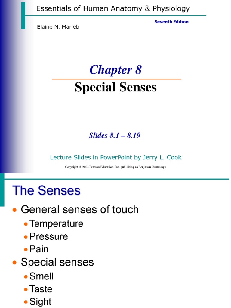 Chapter 8 - Special Senses | PDF